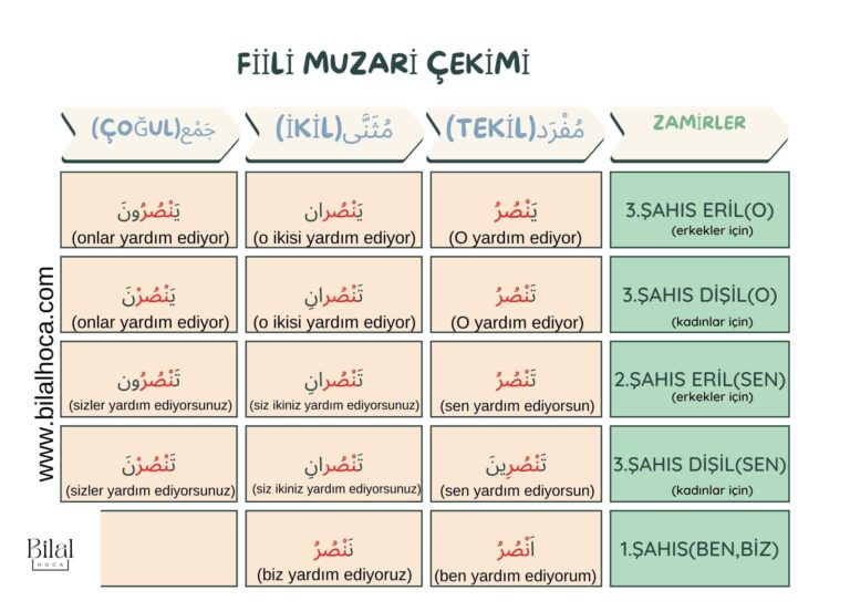 ARAPÇA FİİLİ MUZARİ 2024 Bilal Hoca
