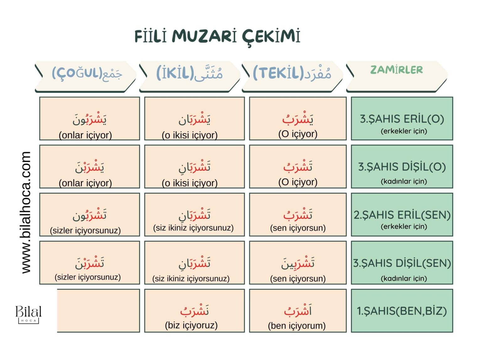 ARAPÇA FİİLİ MUZARİ 2024 Bilal Hoca