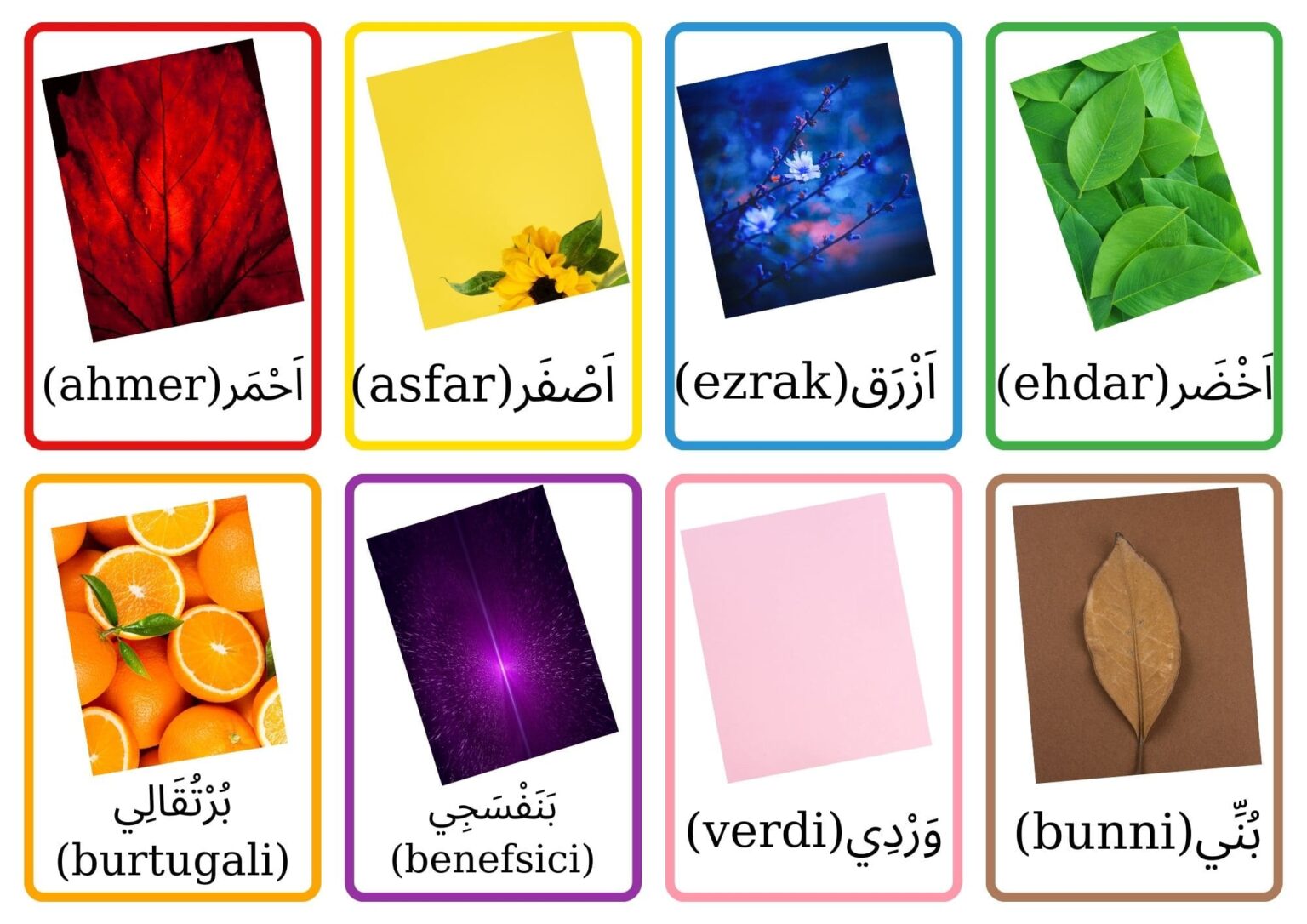 Arapça Saatler 2024 Bilal Hoca